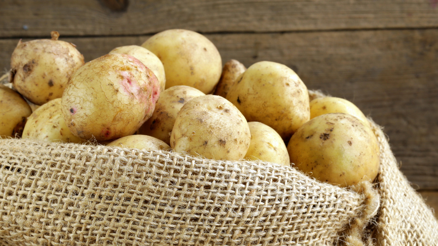 STEM Activity: Poking Potatoes | National Inventors Hall of Fame®