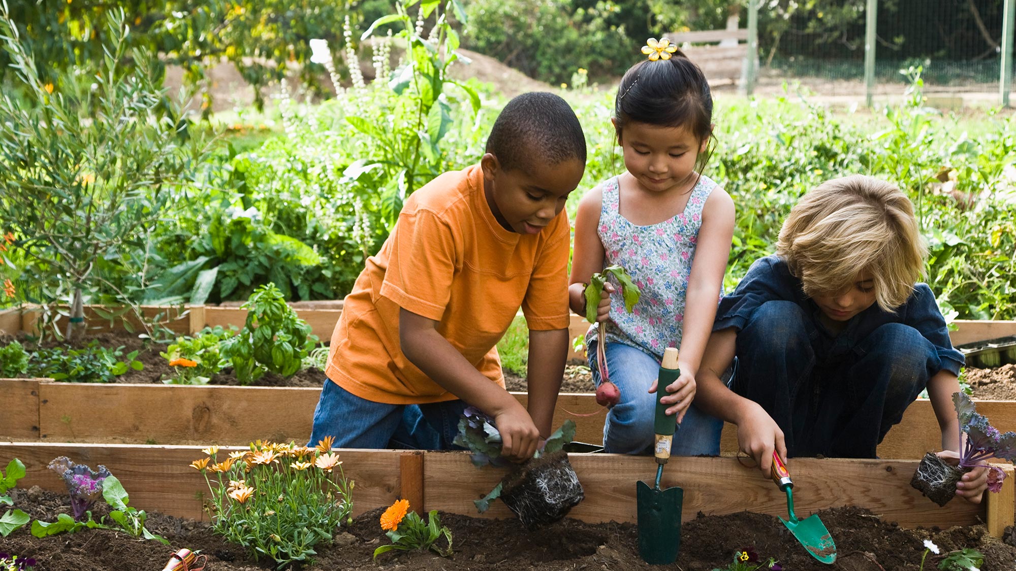 Celebrate National Garden Month With These Hall of Famers | National ...