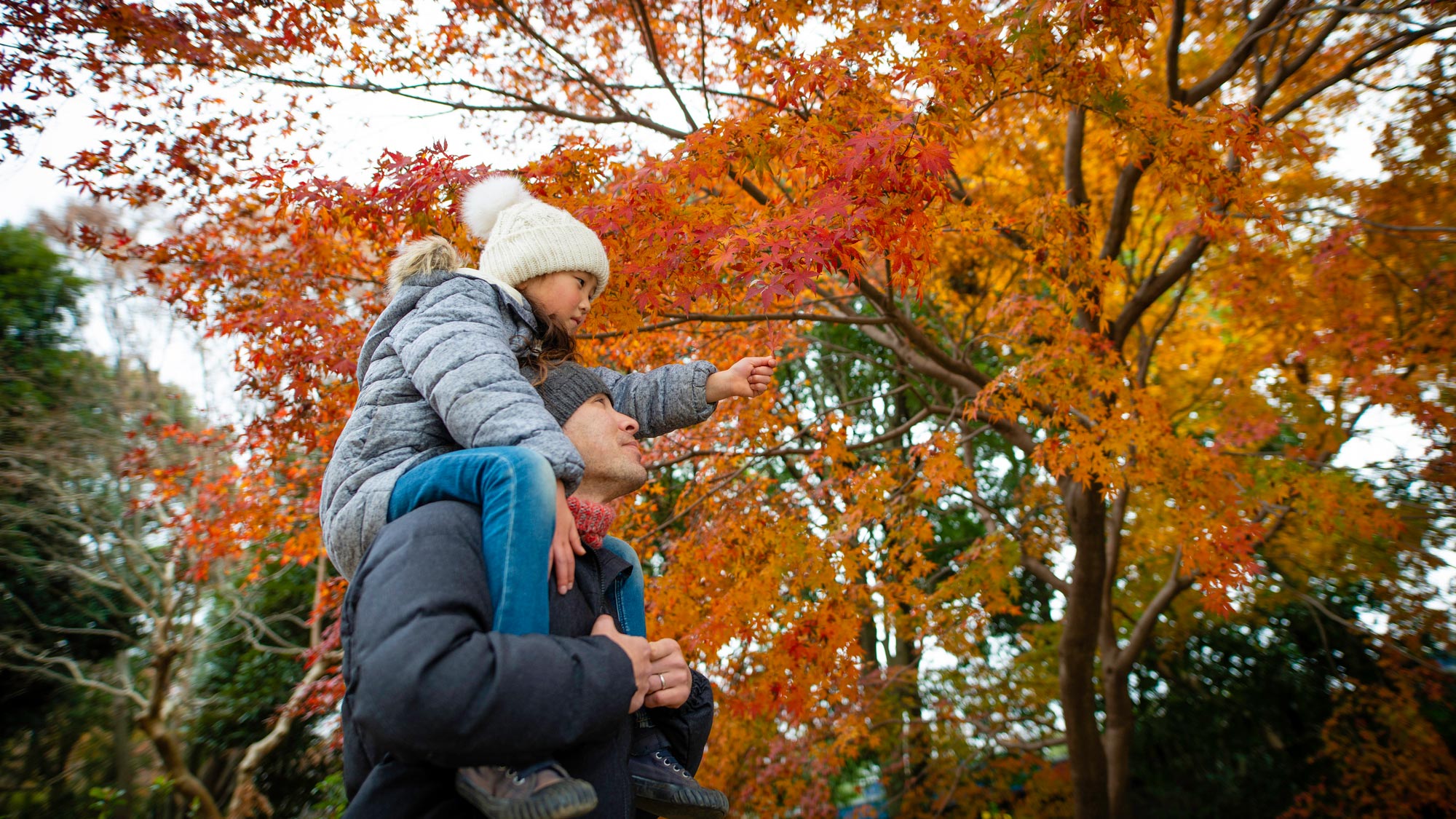 The Science of the Seasons | National Inventors Hall of Fame®