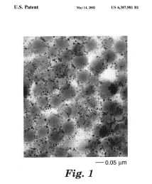 Sumita Mitra | National Inventors Hall of Fame® Inductee