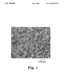 Sumita Mitra | National Inventors Hall of Fame® Inductee