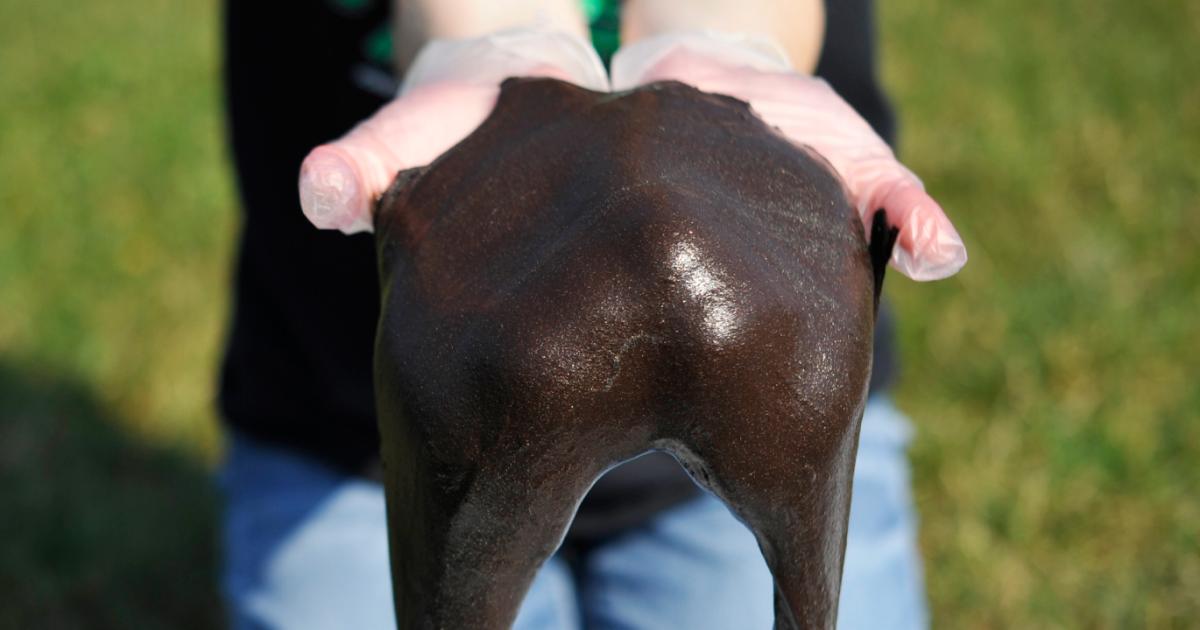 STEM Activity: Magnetic Slime | National Inventors Hall of Fame®