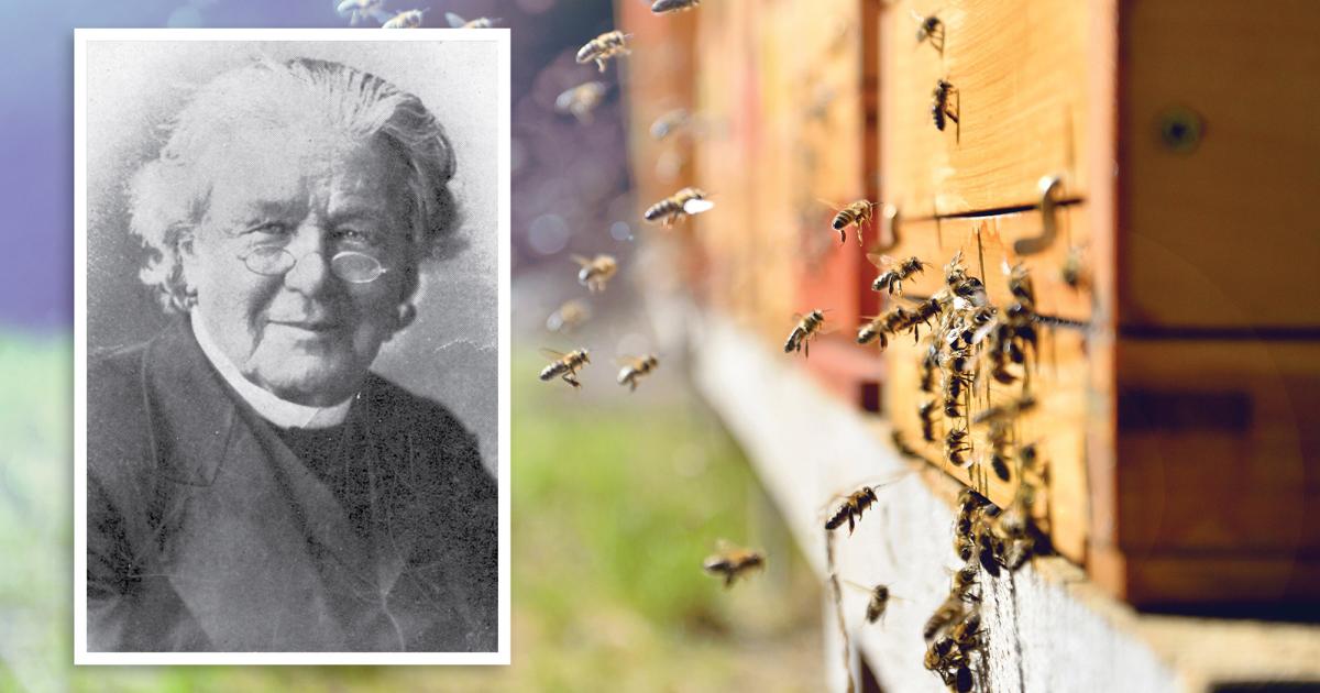 How Lorenzo Langstroth’s Hive Shaped Beekeeping | National Inventors ...