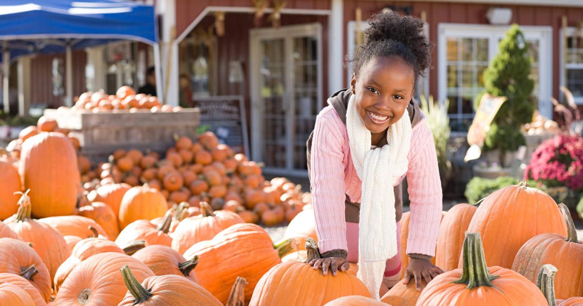 Five Ways to Connect Fall Fun and STEM Learning | National Inventors ...