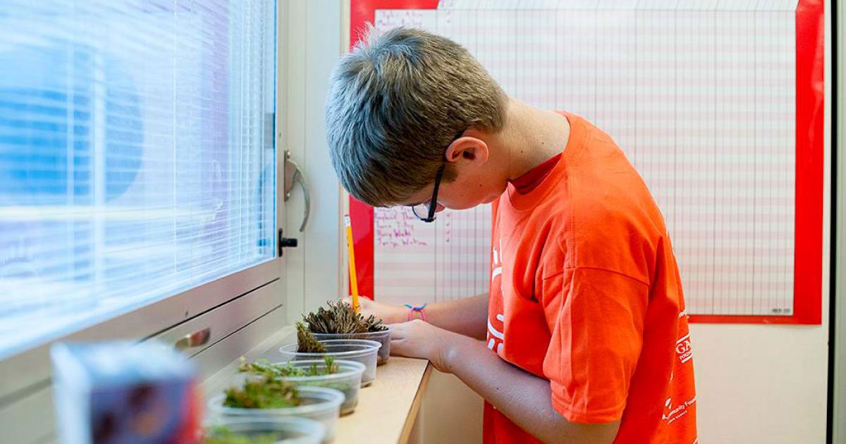 STEM Activity: Creativity is PHENOMENAL! | National Inventors Hall of Fame®