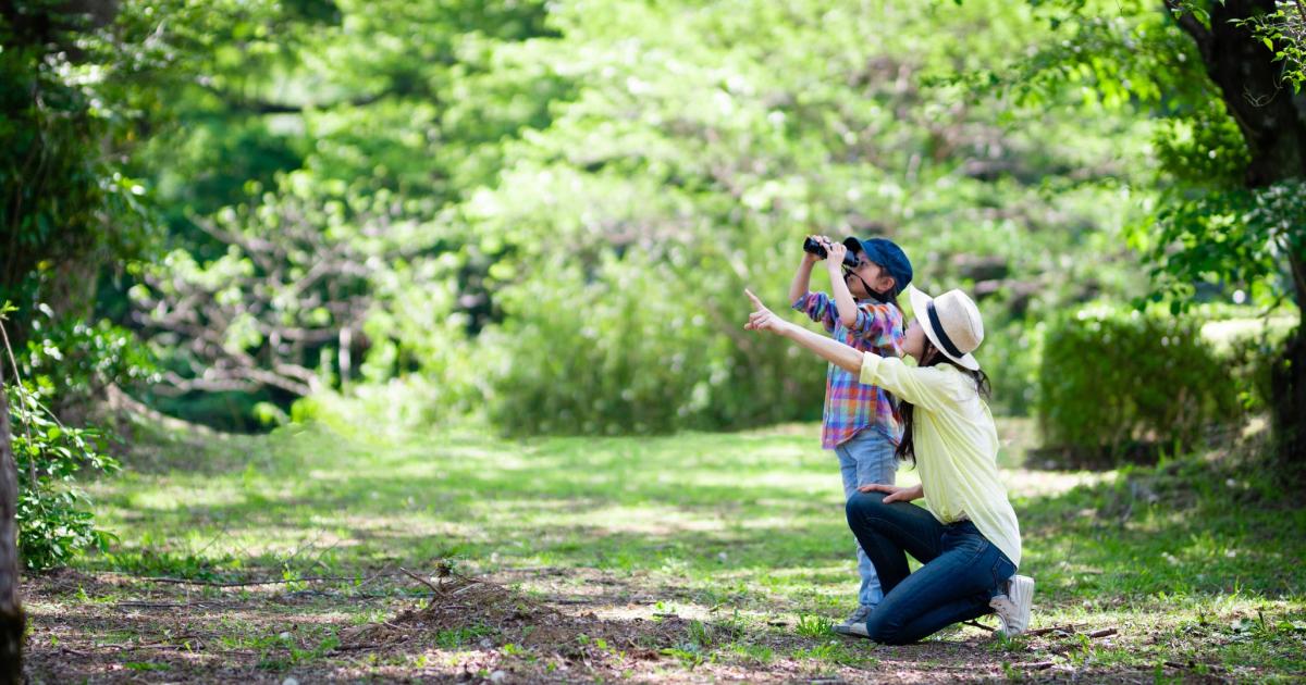 How Bird Feeders Can Build Awesome Observation Skills | National ...