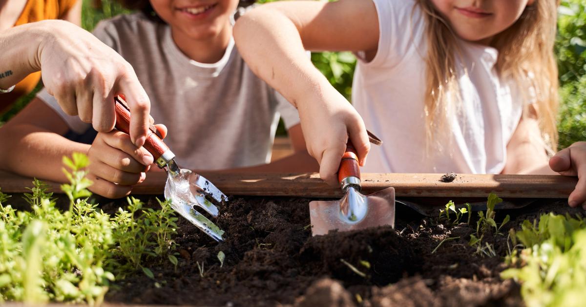 4 Ways to Spring Into STEM Learning | National Inventors Hall of Fame®